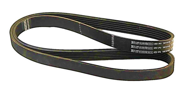 Belt 6PK1255 RVI-MAGN - 27115
